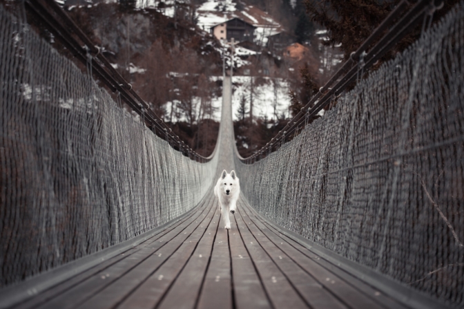 Leading Lines in Photography With 7 Examples